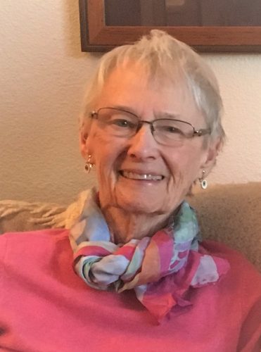 Nancy Showers Zinn | News, Sports, Jobs - Williamsport Sun-Gazette